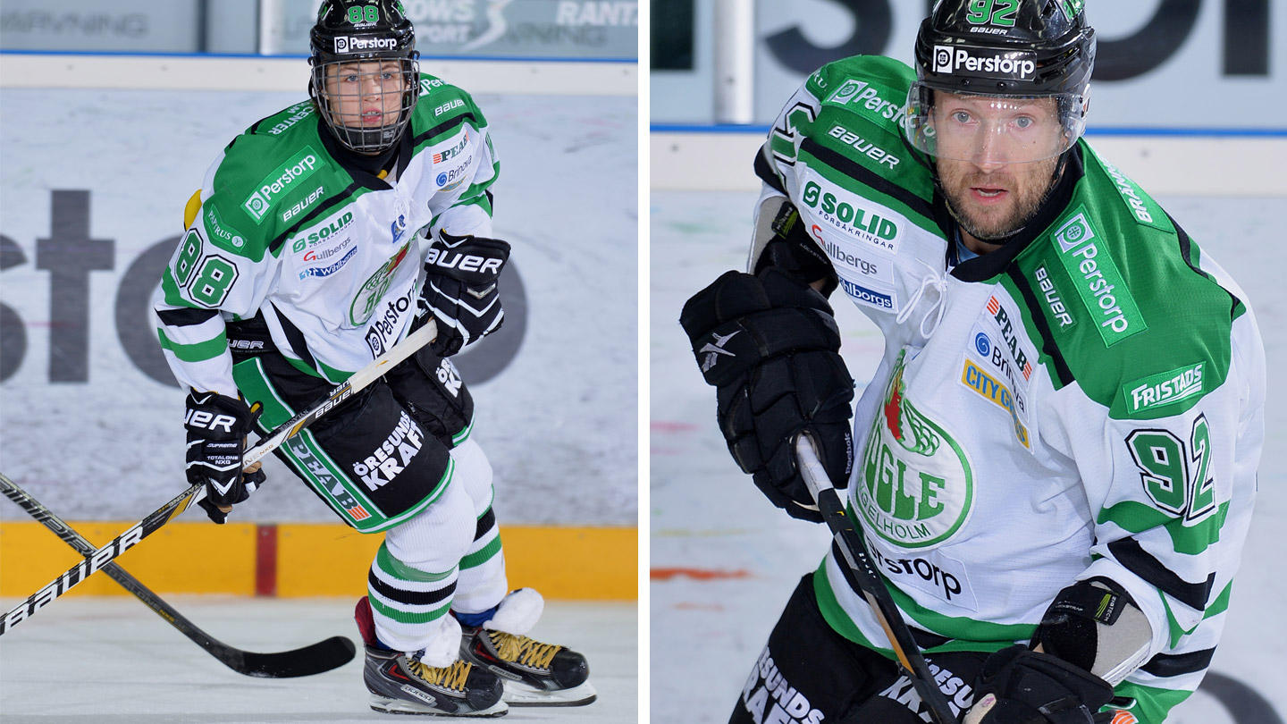 Big Read: What the Maple Leafs risked by drafting William Nylander ...